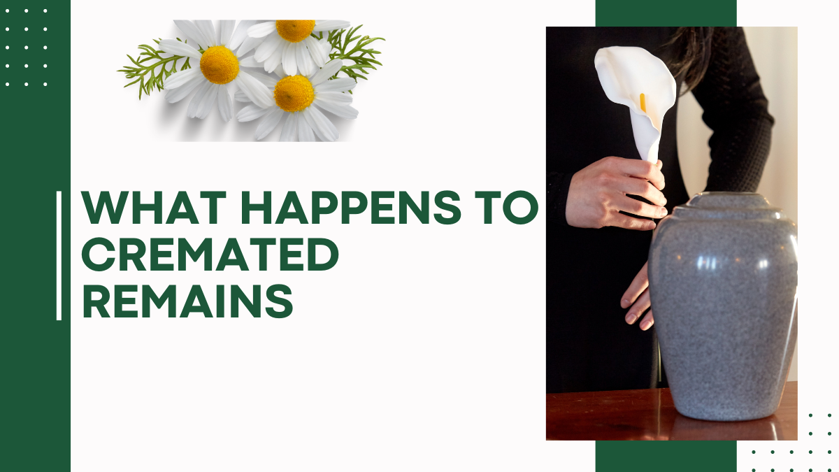 What Happens To Cremated Remains In Melbourne, Fl - Melbourne Funeral ...